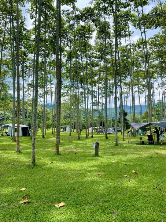 รีวิวจุดกางเต็นท์ Na Wana ณ วนา Camping Ground จ สระบุรี เที่ยว